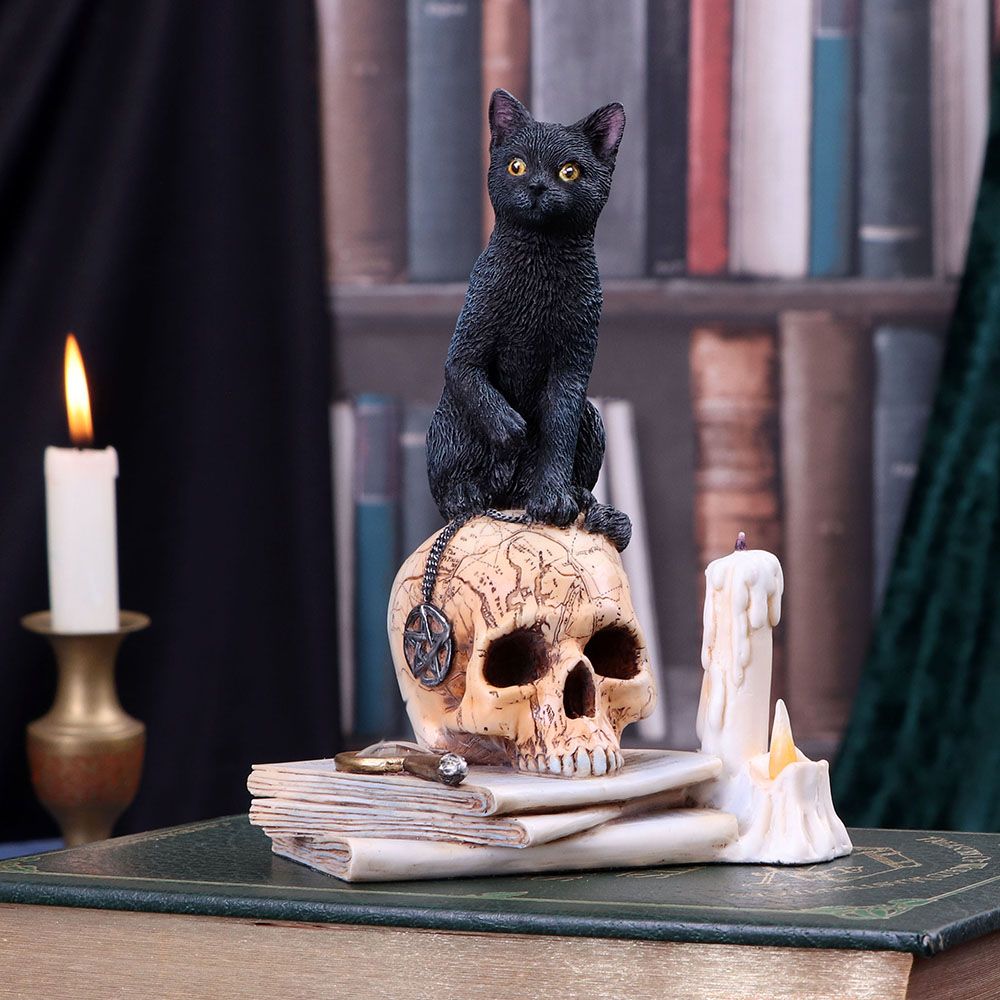 Storia e Magia -Lisa Parker - Gatto Spirito di Salem su Teschio