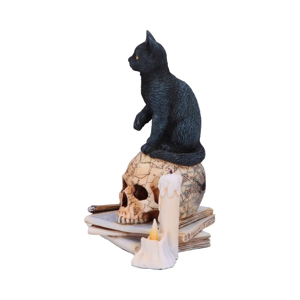 Storia e Magia -Lisa Parker - Gatto Spirito di Salem su Teschio