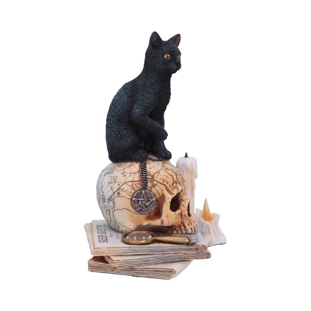 Storia e Magia -Lisa Parker - Gatto Spirito di Salem su Teschio